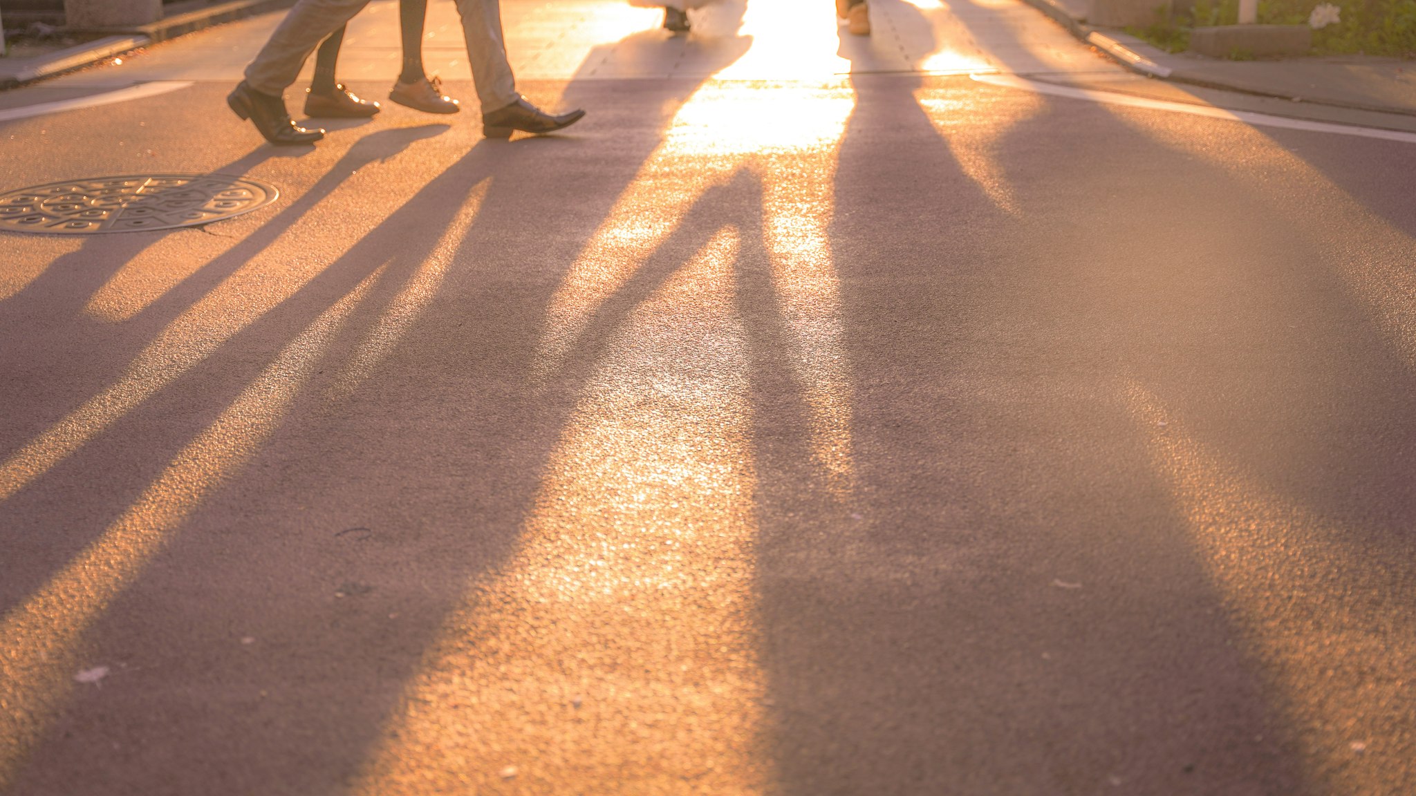 あなたを幸せにする色を写真で見つける | Knowledge #43 | cizucu