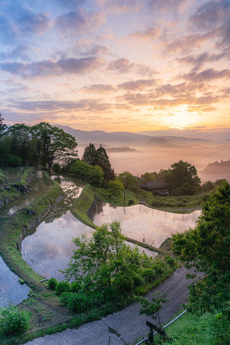 雲海を美しく捉える撮影テクニックとアイデア | Knowledge #143 | cizucu