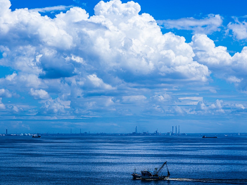 青が彩る夏のさまざまな表情 | Focus #264 | cizucu