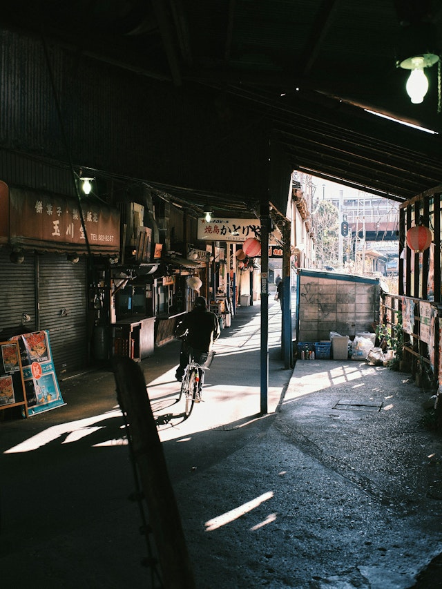 cizucu編集部の「注目作品」をご紹介 | Focus #388 | cizucu