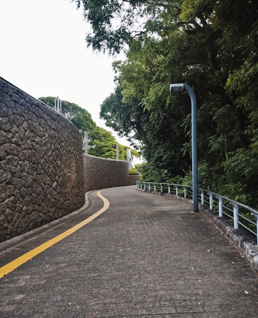 cizucu主宰『Way We Wander』| Challenge #134 | cizucu