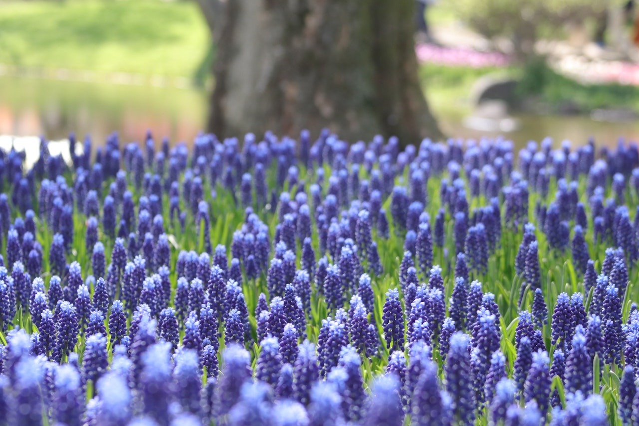 今週の注目作品に『Spotlight』| Knowledge #39 | cizucu