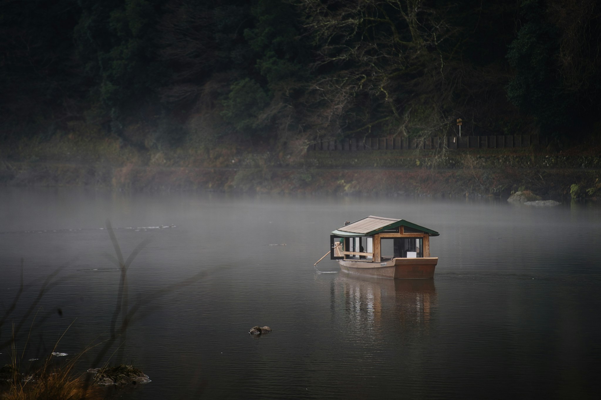 霧を美しく撮影するテクニック | Knowledge #140 | cizucu