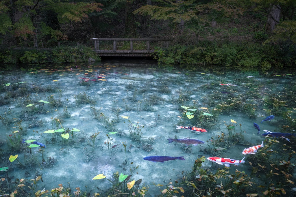 今週の注目作品に『Spotlight』| Knowledge #27 | cizucu