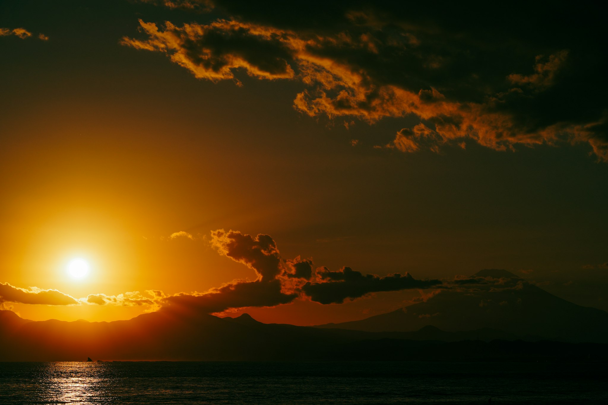 #2023 | 一年を彩る感動や瞬間 | Focus #25 | cizucu