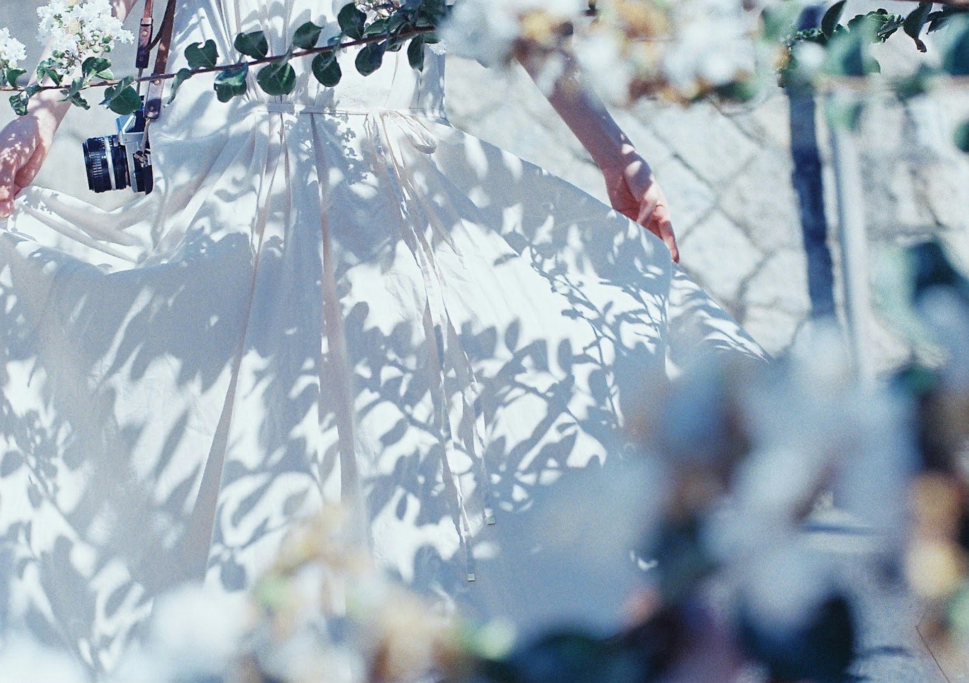 今週の注目作品に『Spotlight』| Knowledge #39 | cizucu