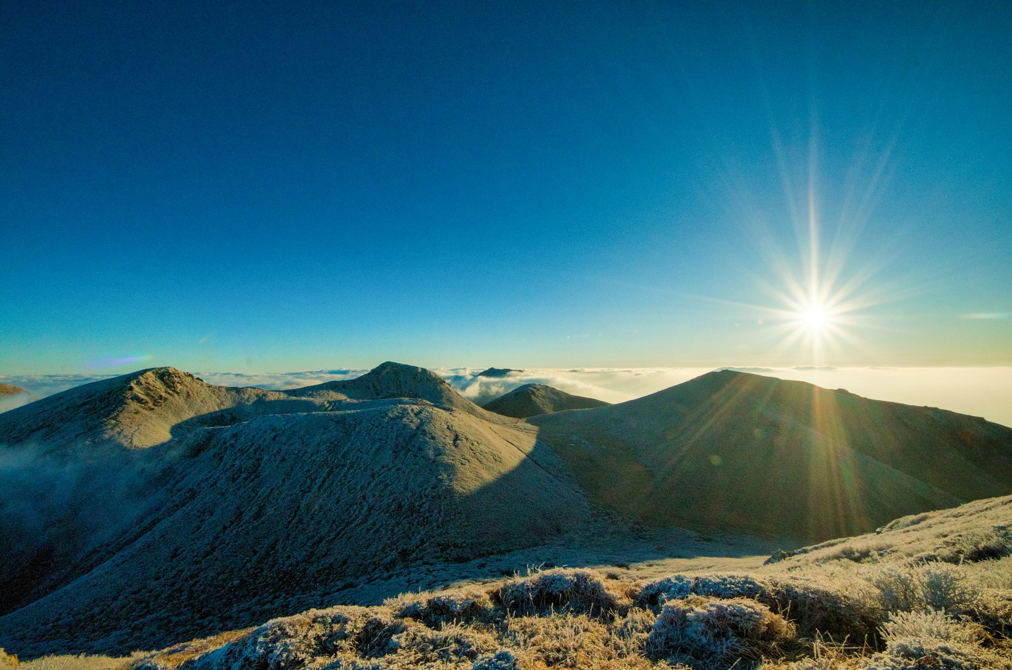 ボディ内手ブレ補正とレンズ内手ブレ補正の違いと選び方 | Knowledge #68 | cizucu