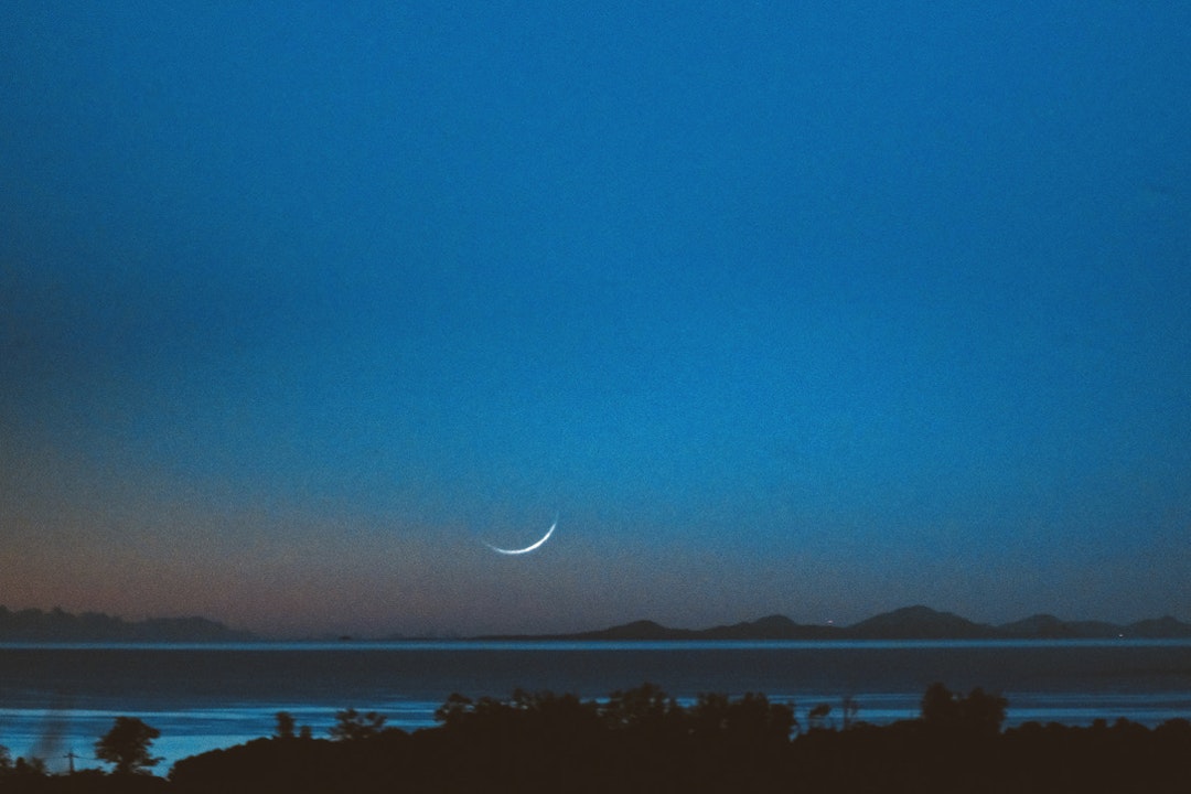 今週の注目作品に『Spotlight』| Knowledge #59 | cizucu