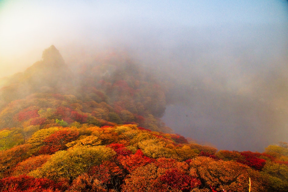 簡単実践！紅葉撮影のおすすめレンズと構図ガイド | Knowledge #152 | cizucu