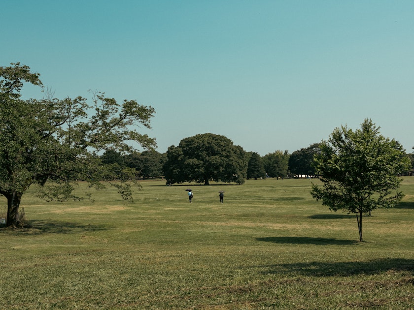 写真家のように撮影するコツ4選 | Knowledge #54 | cizucu