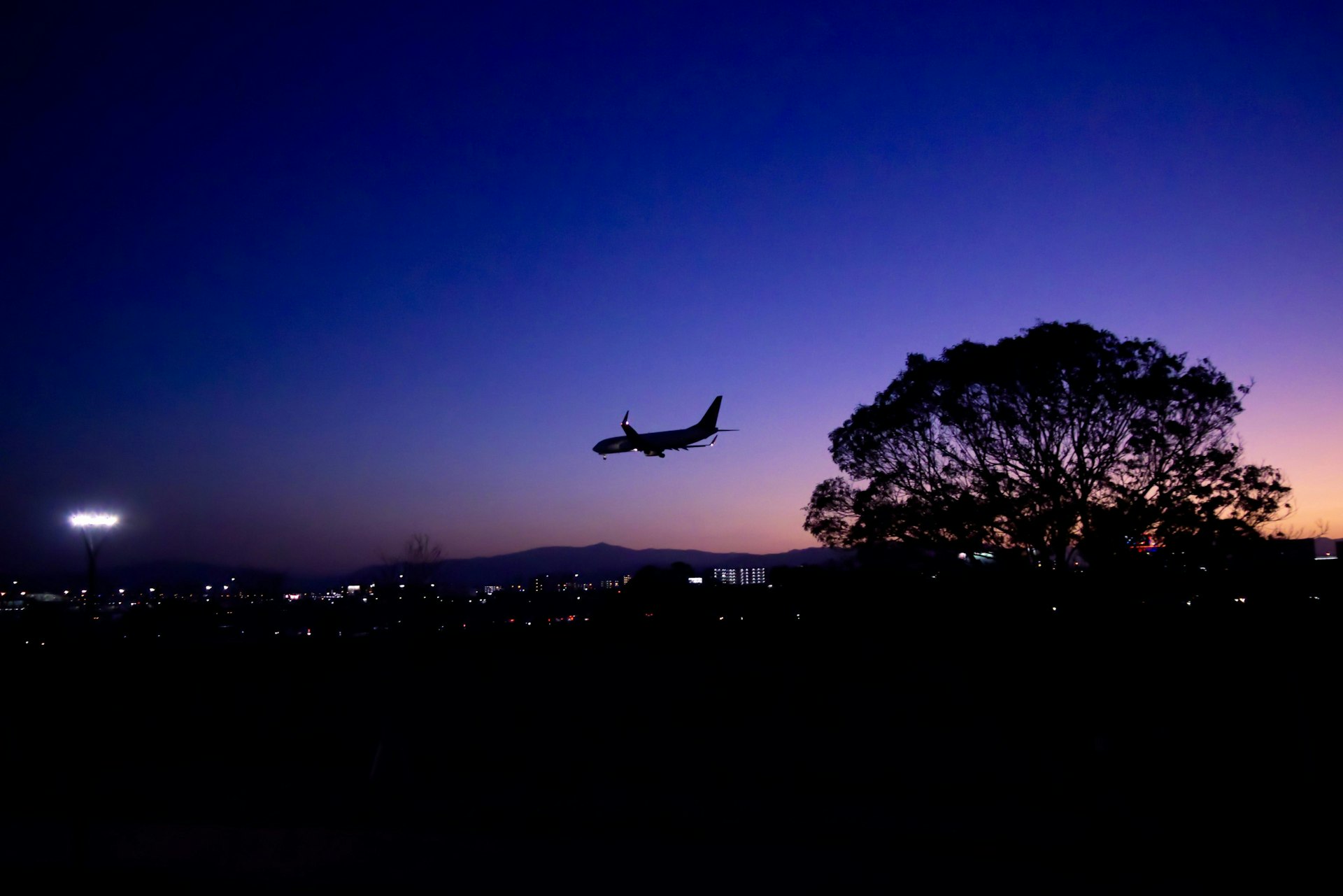 福岡で訪れるべきカメラショップ6選 | Knowledge #155 | cizucu