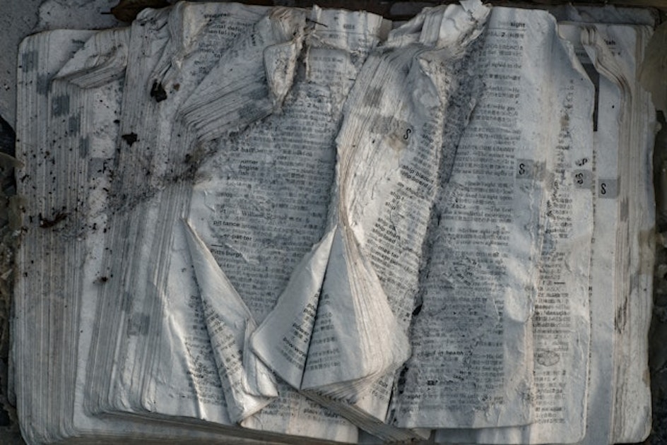 今週の注目作品に『Spotlight』| Knowledge #55 | cizucu