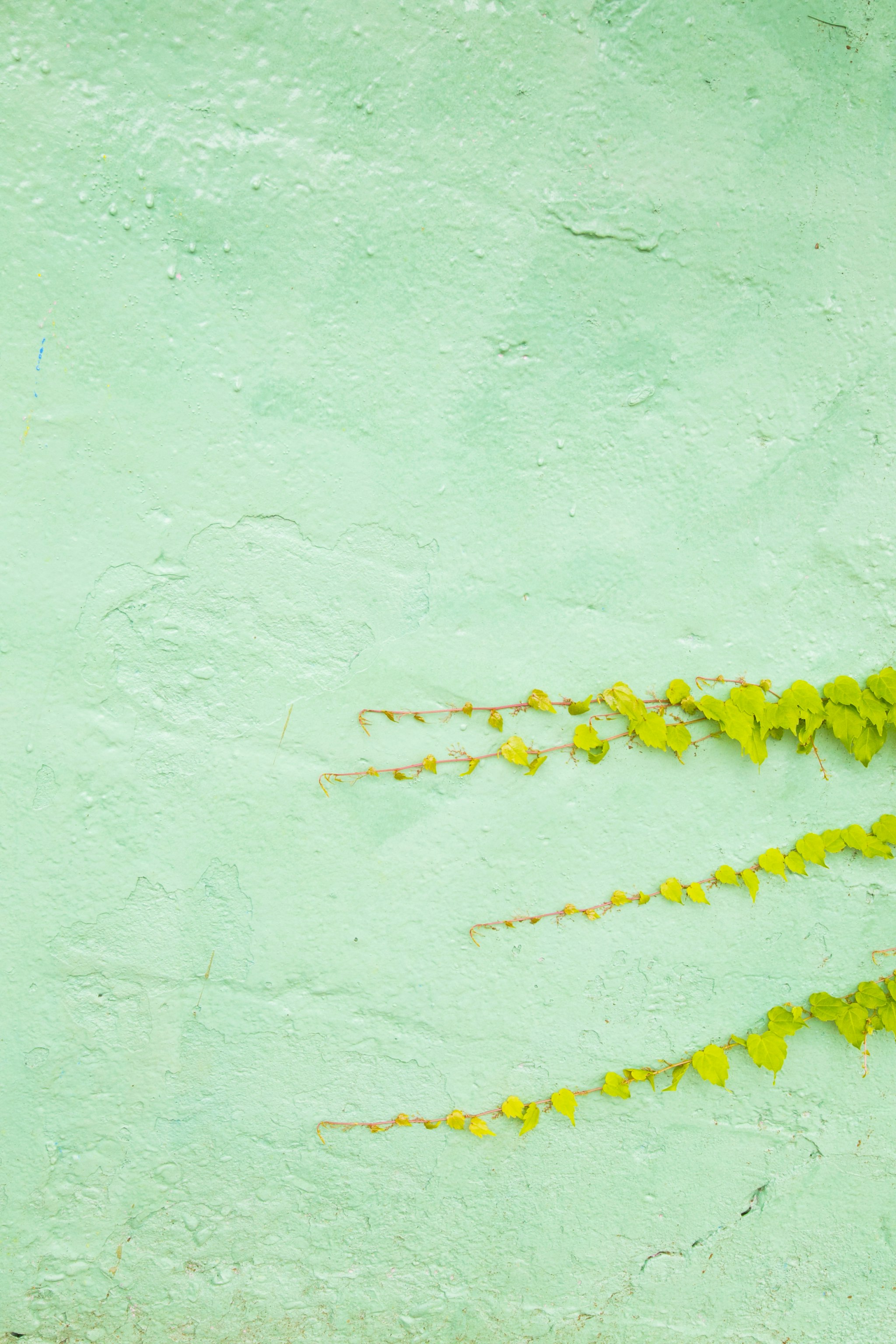 シンプルな写真で創造力を解き放つ | Knowledge #104 | cizucu