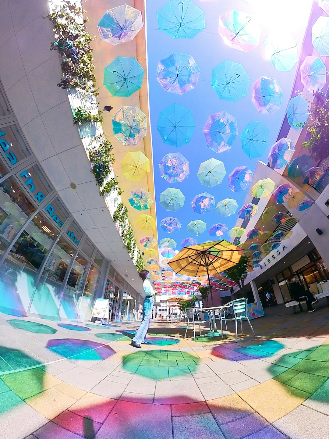 全天球カメラで広がる新しい映像表現の世界 | Knowledge #102 | cizucu