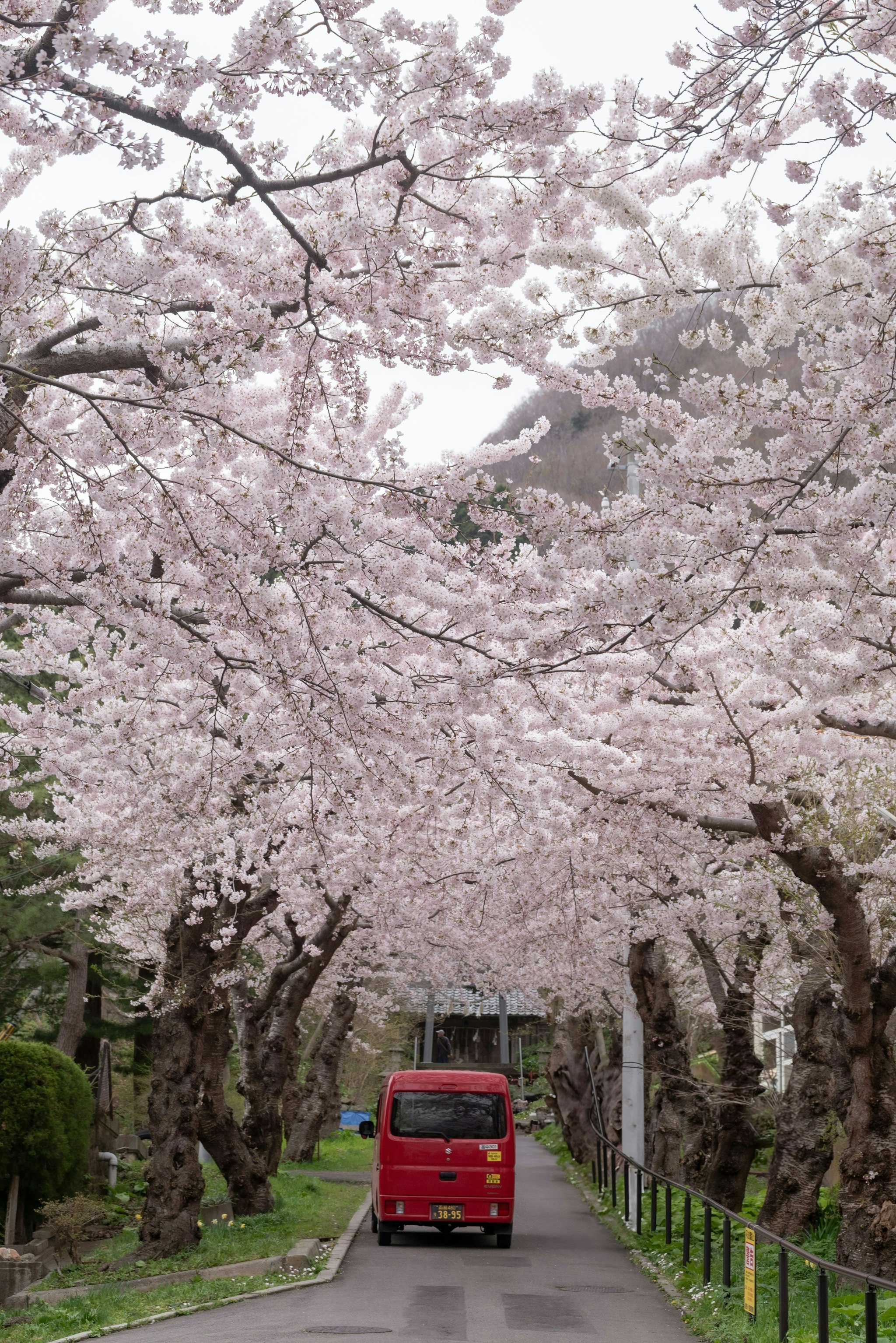 #accent | アクセントから新たな意味を作り出す | Focus #461 | cizucu