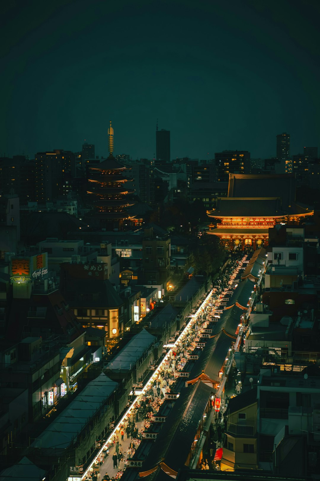 cizucu編集部の「注目作品」をご紹介 | Focus #397 | cizucu