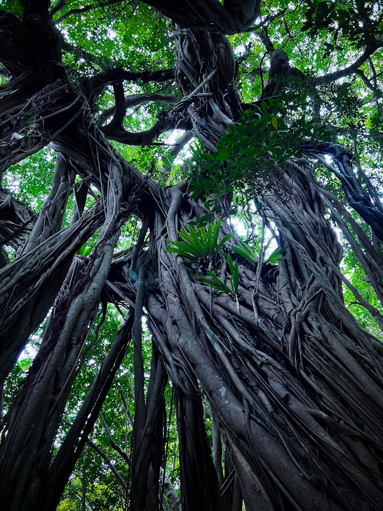 写真の真実と創作の狭間で | Knowledge #125 | cizucu