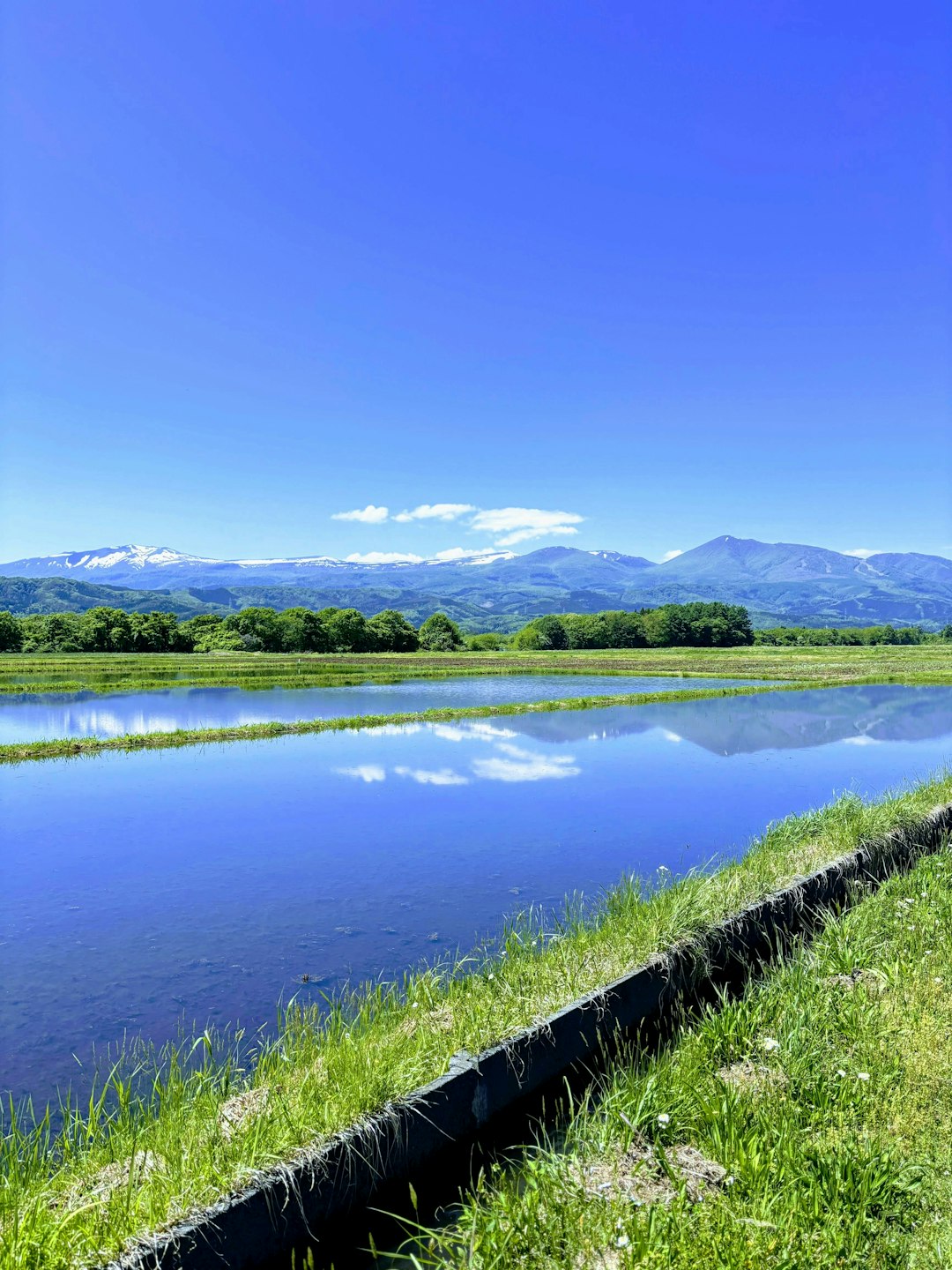 空はなぜ青い？夕焼けはなぜ赤い？ | Knowledge #88 | cizucu