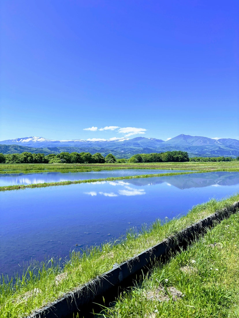 空はなぜ青い？夕焼けはなぜ赤い？ | Knowledge #88 | cizucu