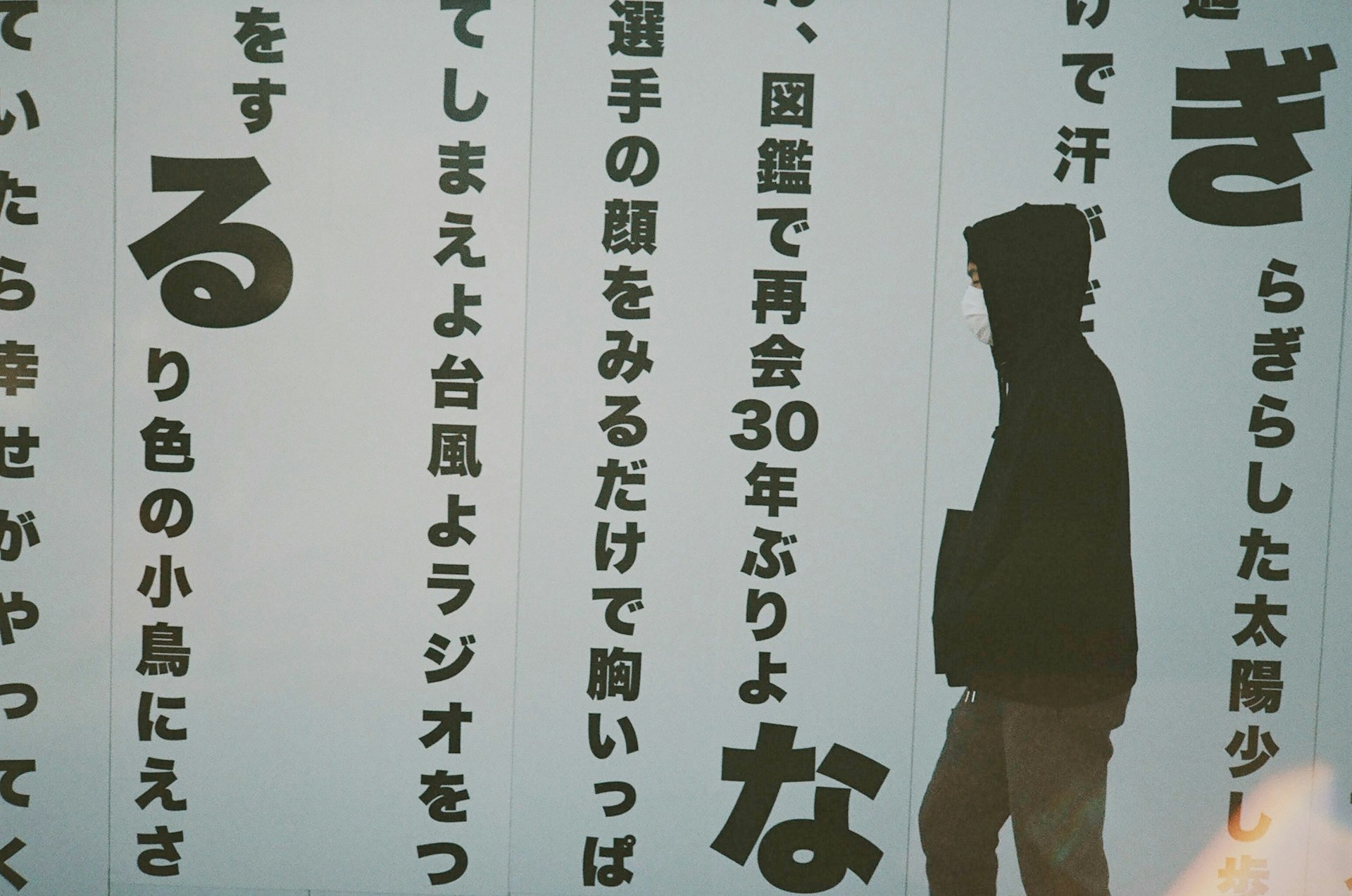 時間の移ろいが感じられる日常写真たち | Focus #160 | cizucu