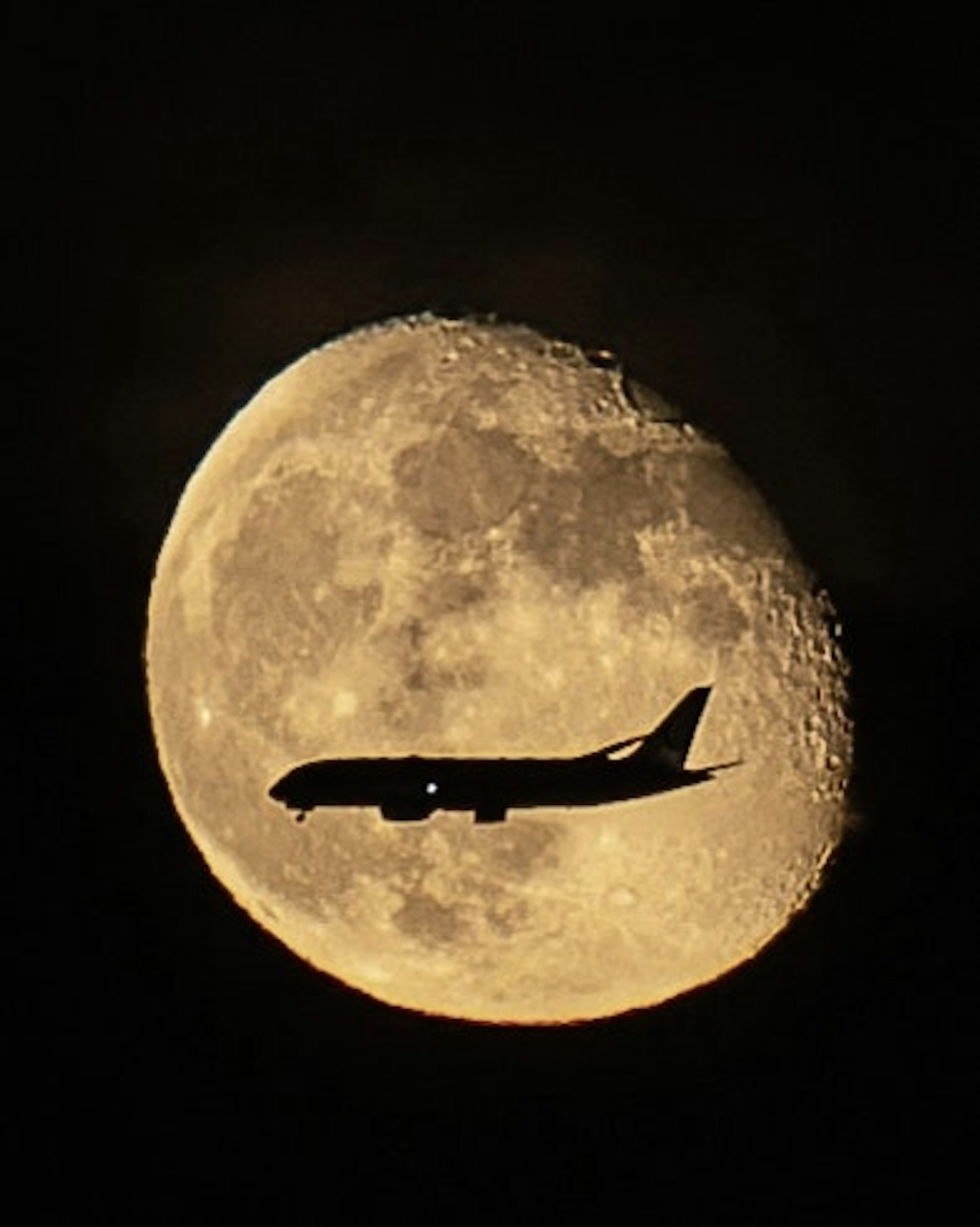 迫力ある写真を生む圧縮効果の魅力と活用法 | Knowledge #81 | cizucu