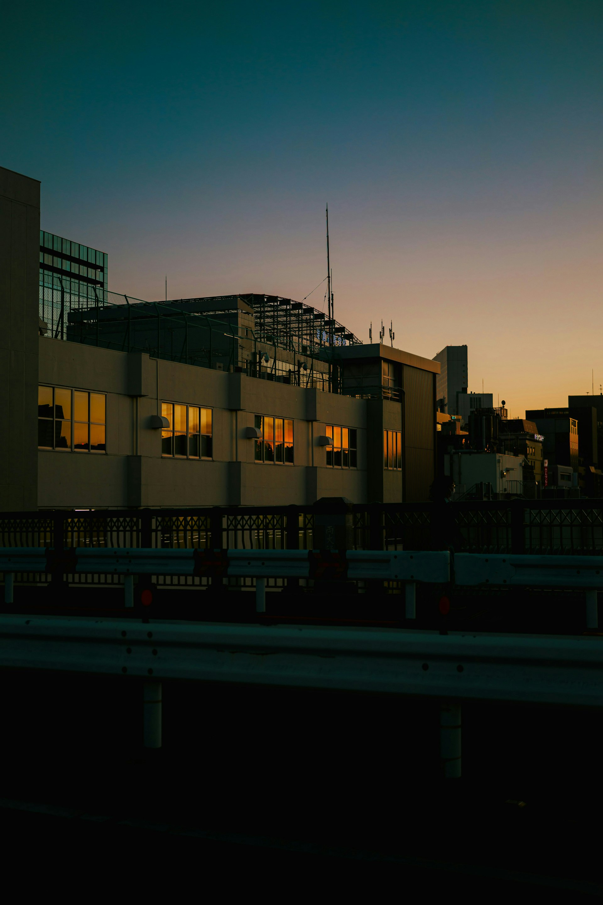 色温度とホワイトバランスを極めるポイント | Knowledge #252 | cizucu