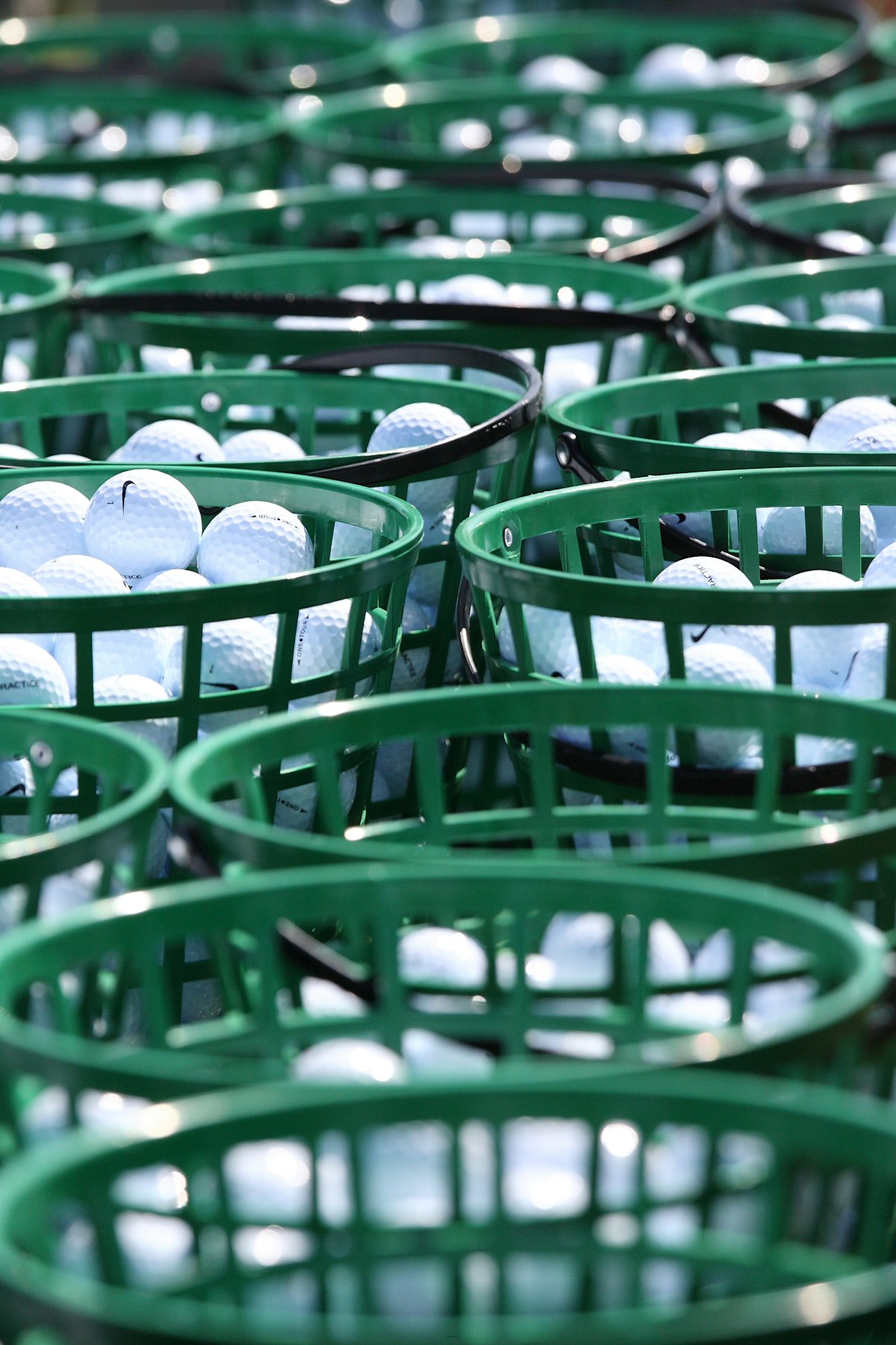 #green | 緑の写真が集まって見えてくるもの | Focus #141 | cizucu