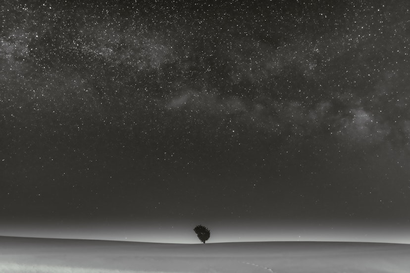 質の高い時間を過ごす デジタルミニマリズムとフィルム写真 | Knowledge #37 | cizucu