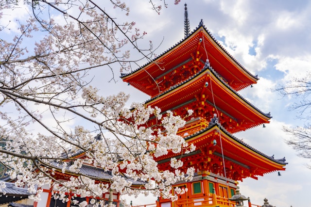 The Story | Challenge #5 | cizucu