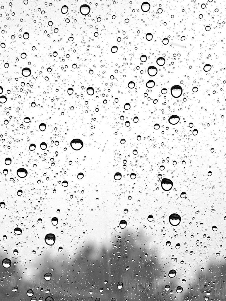 cizucu主宰『June Diary』受賞発表 | Challenge #114 | cizucu