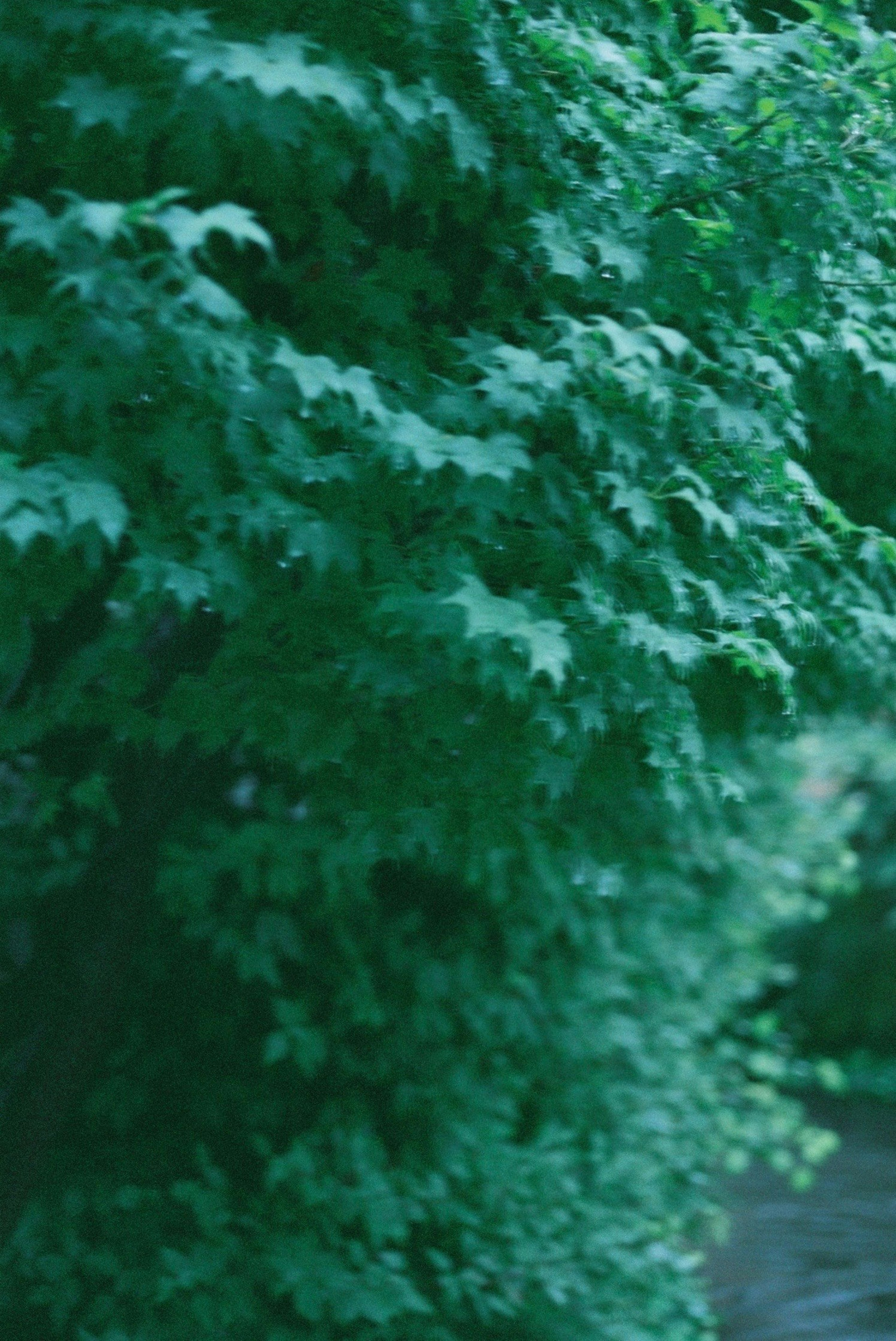 Introducing cizucu Editorial Team's 'Featured Works' | Focus #480 | cizucu