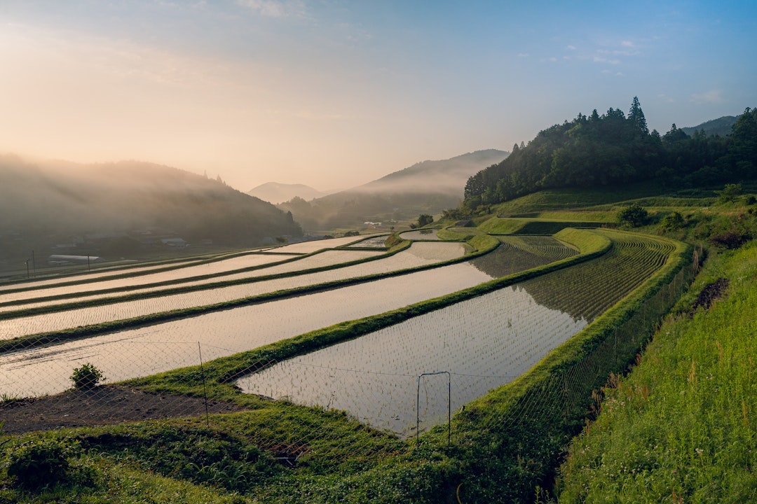 光学ファインダー（OVF）と電子ビューファインダー（EVF）の違いと選び方 | Knowledge #135 | cizucu