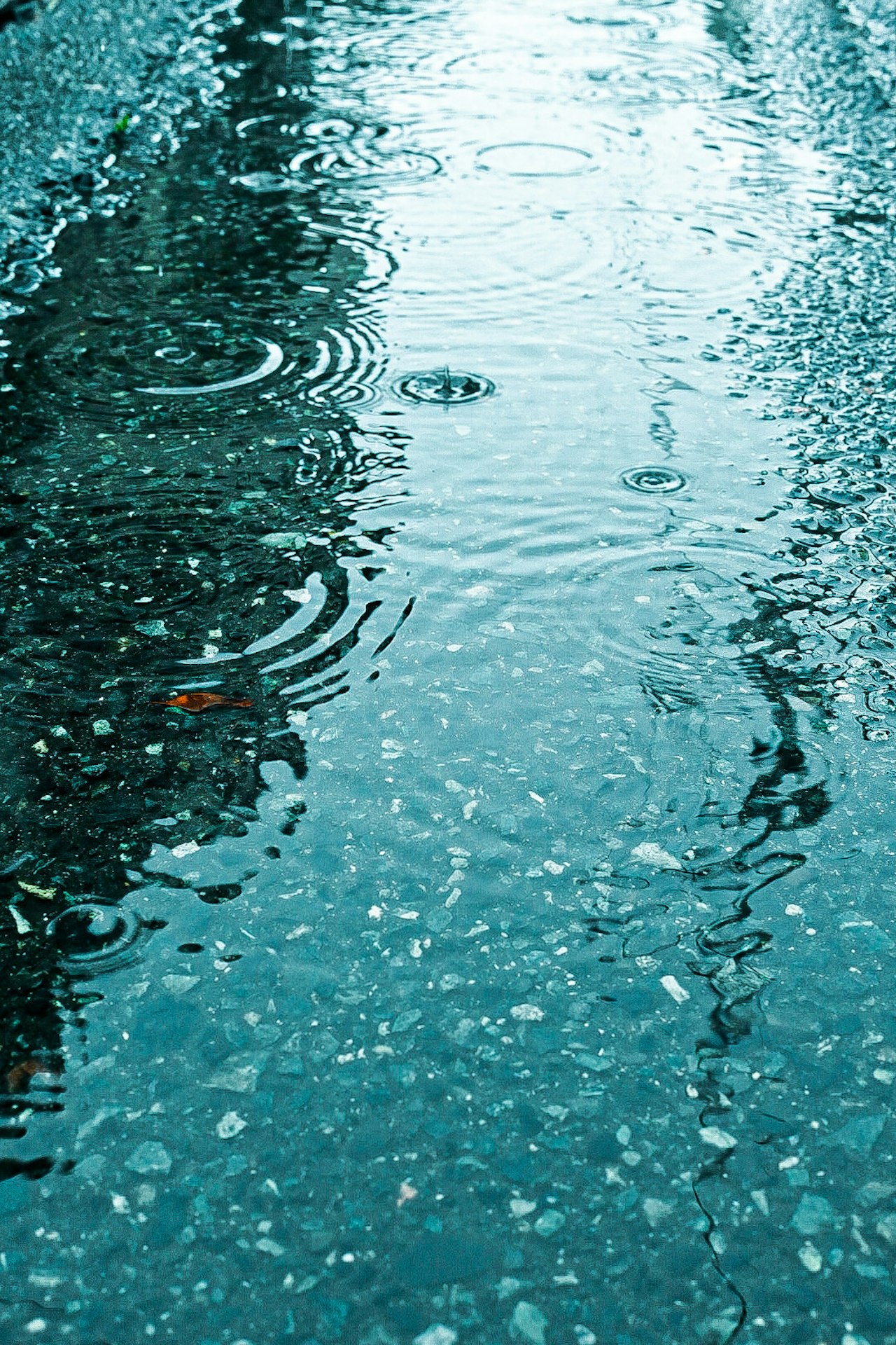 雨の日だって撮影日和 | Focus #146 | cizucu