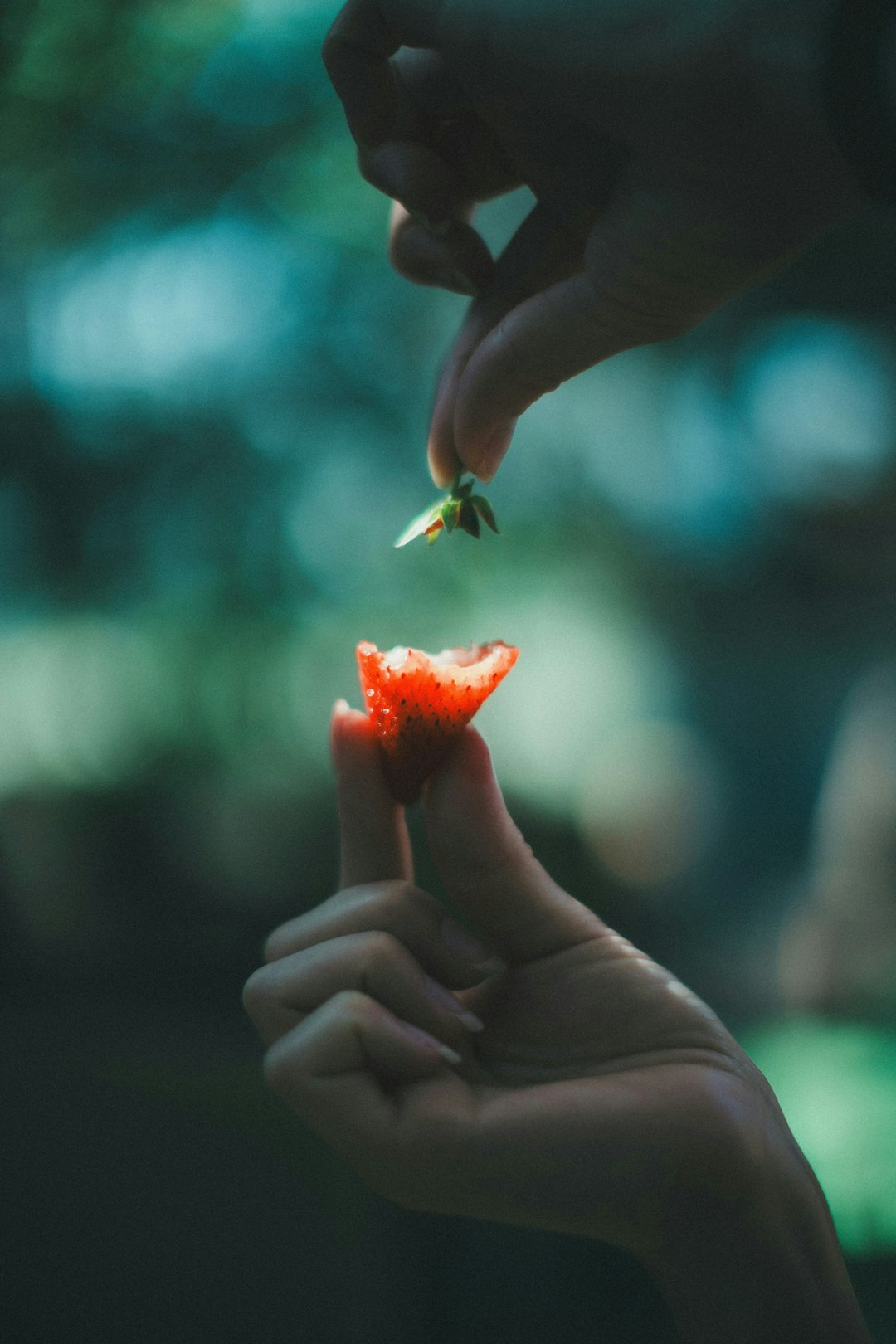 写真編集の順番が作品を変える、編集ワークフローの基本 | Knowledge #280 | cizucu