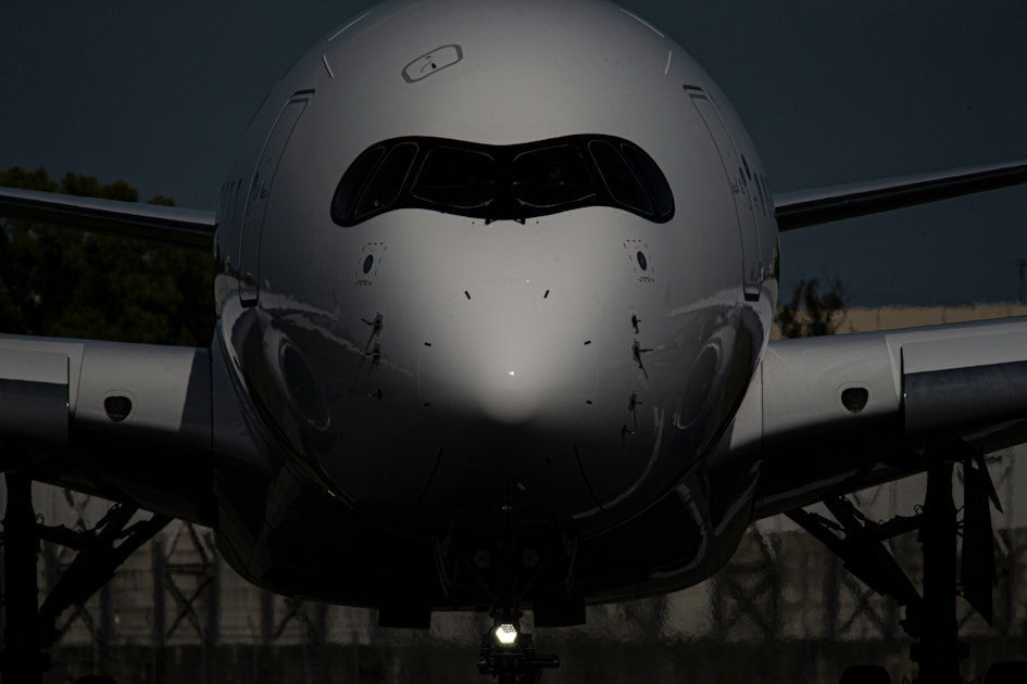 望遠レンズは単焦点レンズに劣るのか？ | Knowledge #165 | cizucu