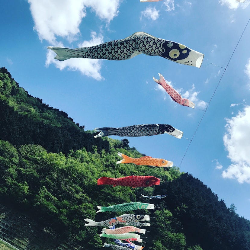 良い写真は「うまい」と「いい」写真の二軸で考えるとわかりやすい | Knowledge #41 | cizucu