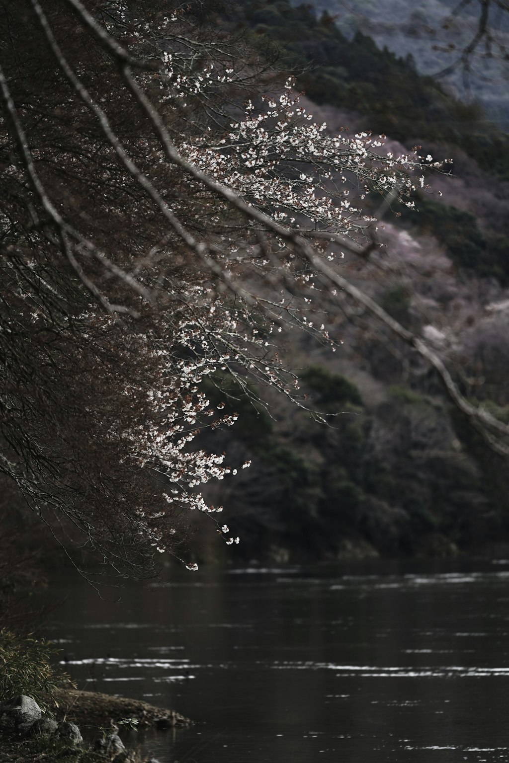 今週の注目作品に『Spotlight』| Knowledge #32 | cizucu