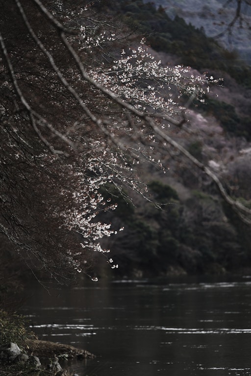 今週の注目作品に『Spotlight』| Knowledge #32 | cizucu