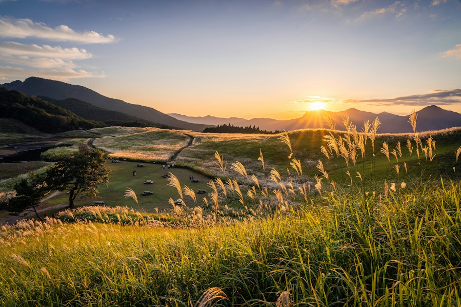 cizucu編集部の「注目作品」をご紹介 | Focus #381 | cizucu