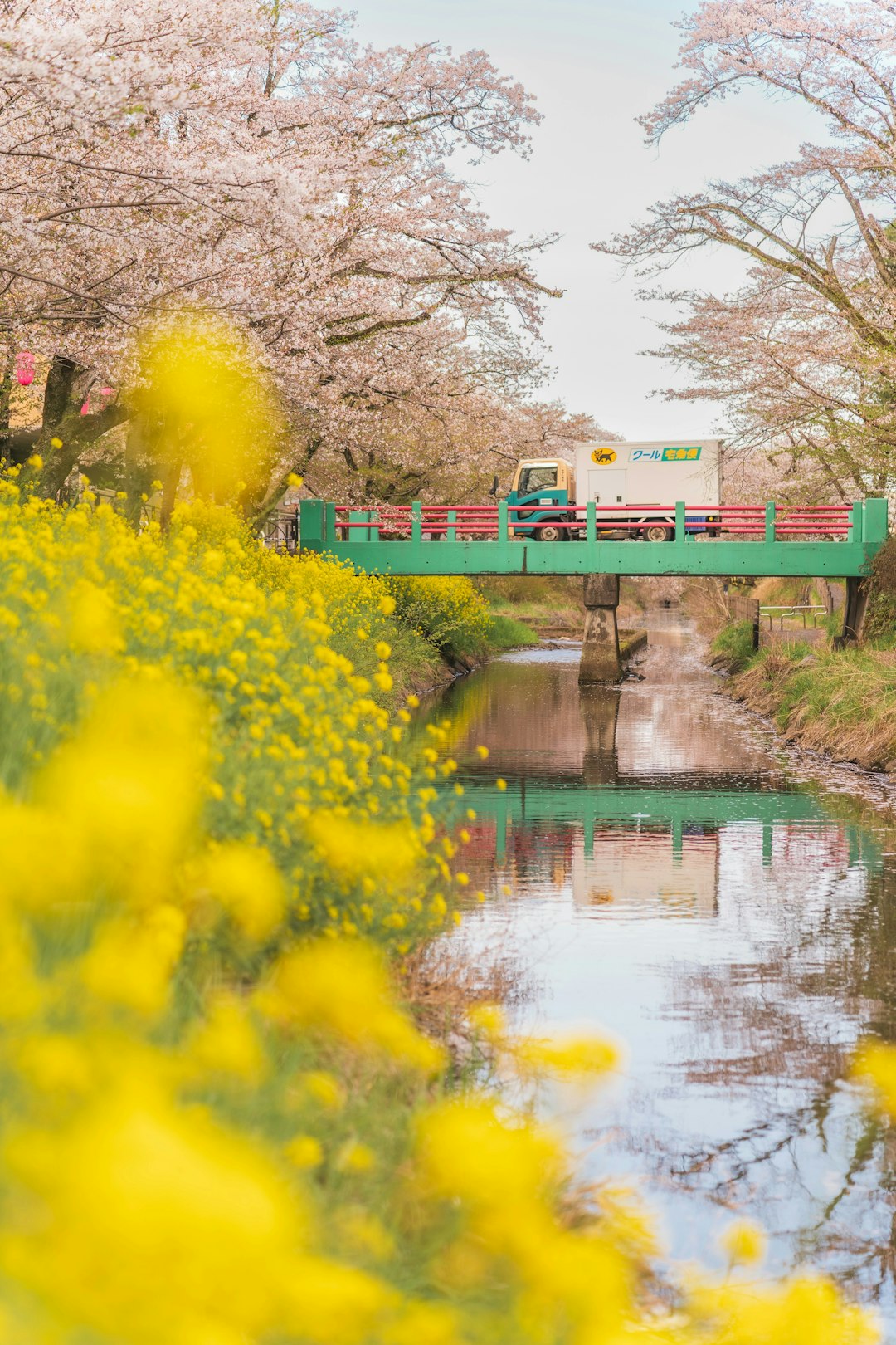 #local | 日常の景色もフォトスポットに | Focus #443 | cizucu