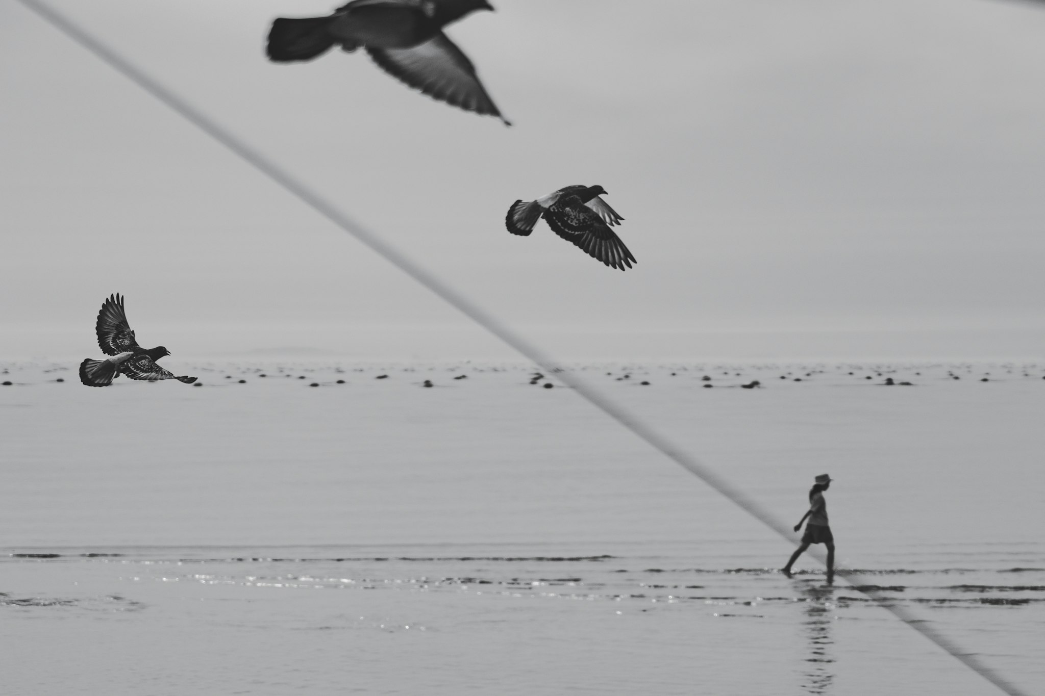 良い写真は「うまい」と「いい」写真の二軸で考えるとわかりやすい | Knowledge #41 | cizucu