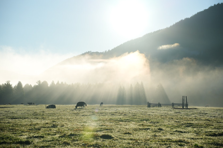 霧を美しく撮影するテクニック | Knowledge #140 | cizucu