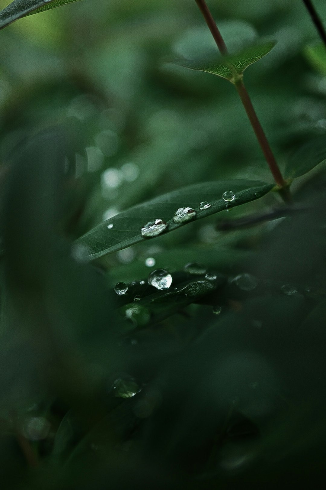 今週の注目作品に『Spotlight』| Knowledge #52 | cizucu