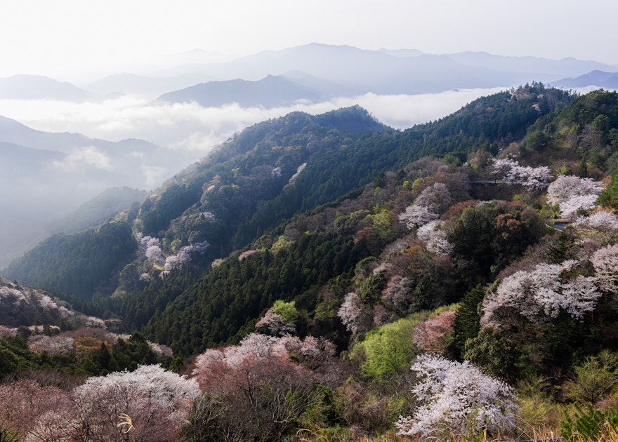 Why is the 24mm Lens Challenging? | Knowledge #125 | cizucu