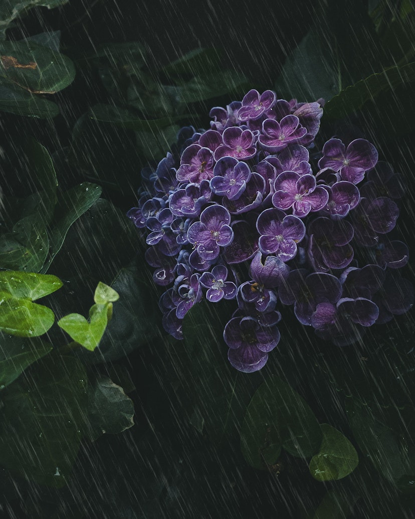 今週の注目作品に『Spotlight』| Knowledge #52 | cizucu