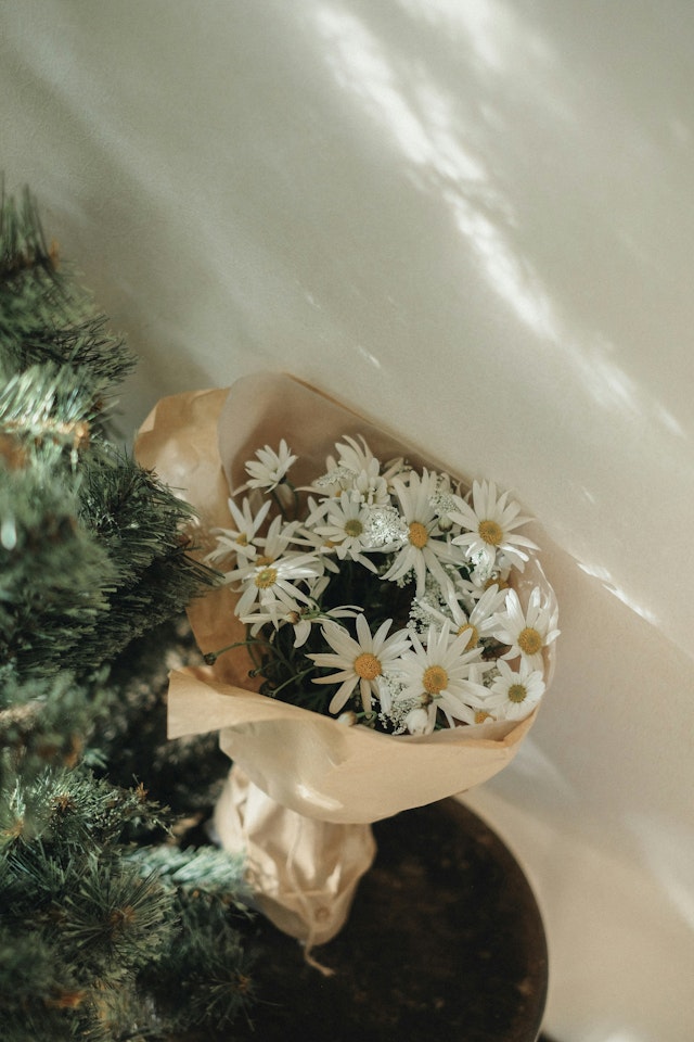 cizucu主宰『With Love, To You』| Challenge #184 | cizucu