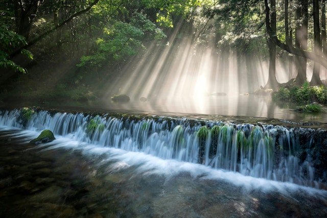 Akariが語る | 私とZ6の旅 | Nikon Z6 | Knowledge #204 | cizucu