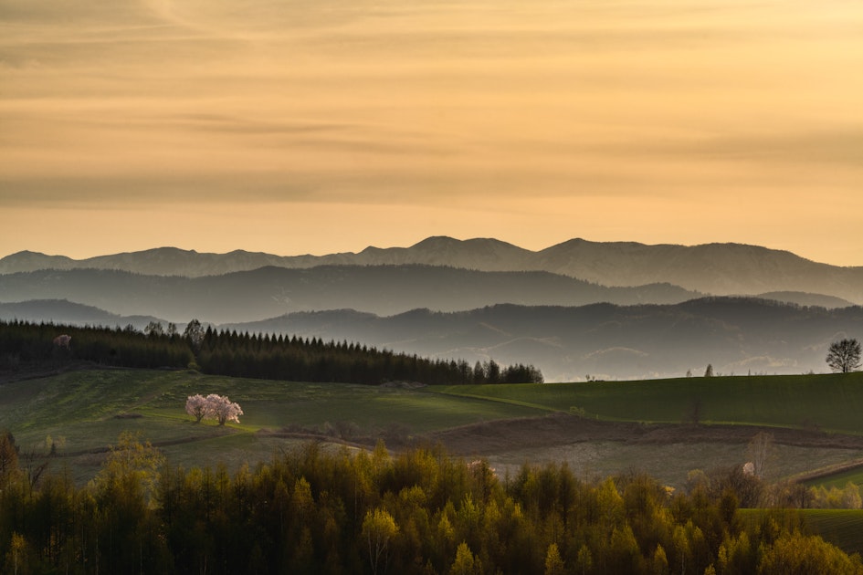 cizucu主宰『Spring Landscape』受賞発表 | Challenge #108 | cizucu