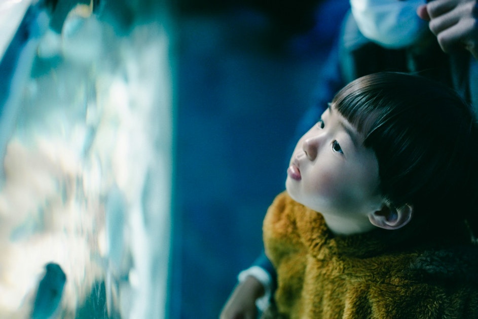 fujikkoが語る | 水族館の記憶を写真に残す | SONY α7 III | Knowledge #238 | cizucu