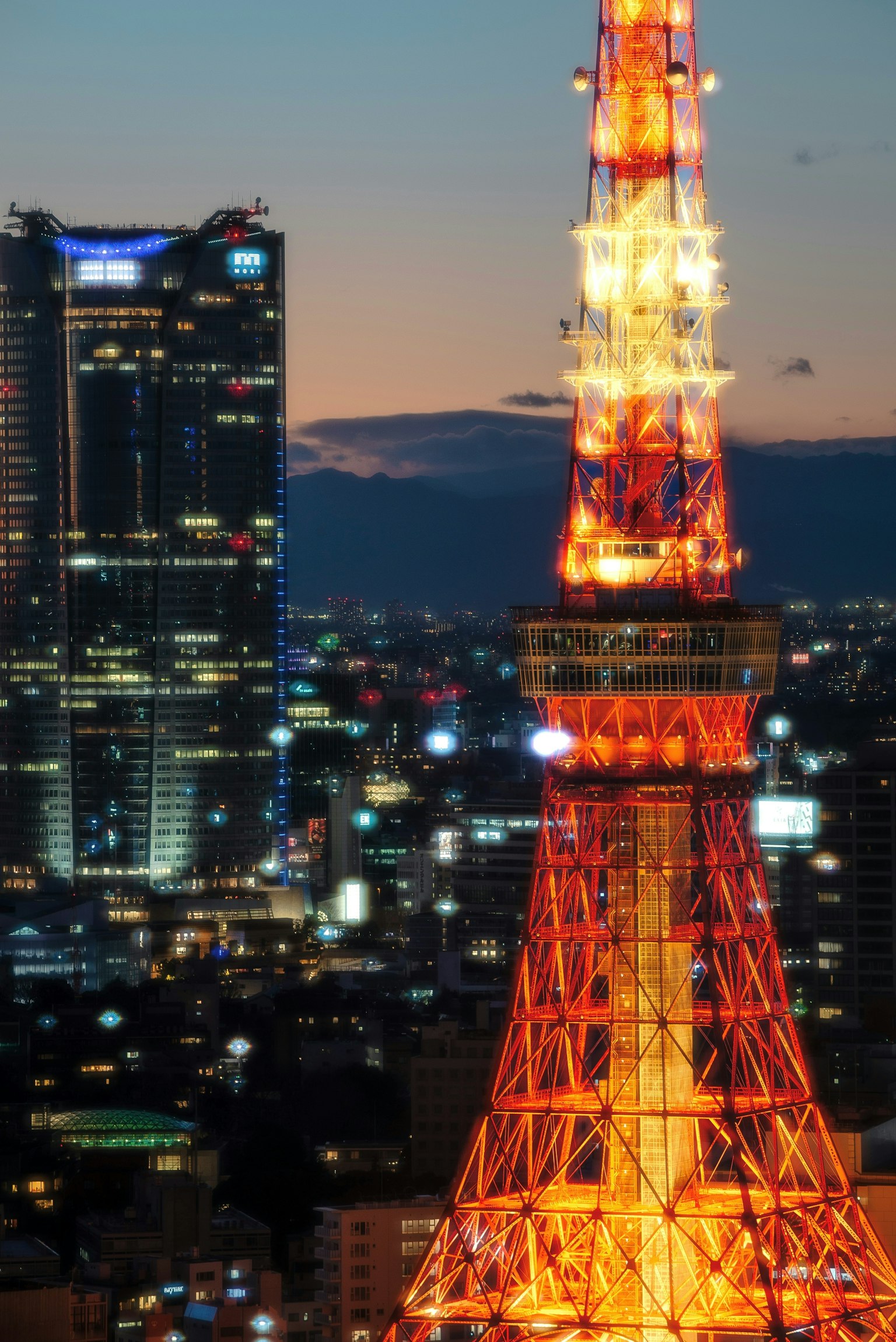 主役にも脇役にもなれる「東京タワー」 | Knowledge #415 | cizucu